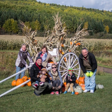 Home - Gammondale Farm