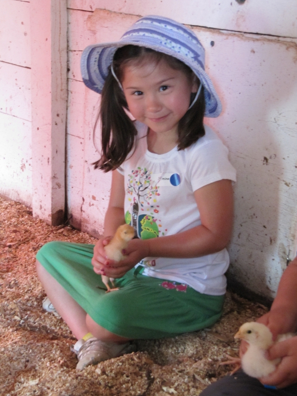 Home - Gammondale Farm